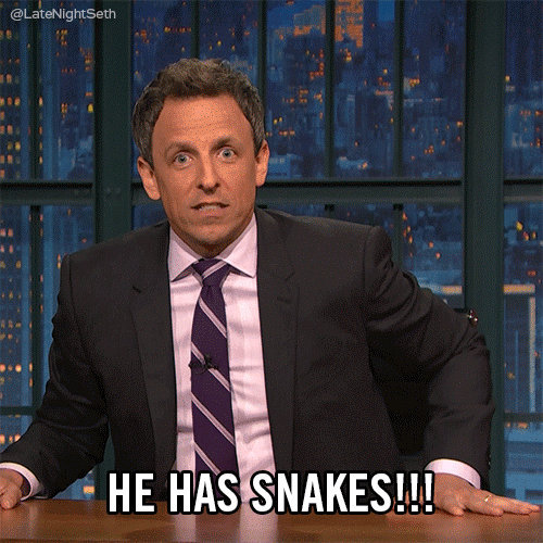 Seth Meyers Snakes GIF by Late Night with Seth Meyers - Find & Share on ...