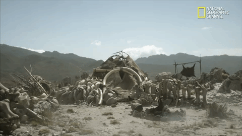 GIF by National Geographic Channel - Find & Share on GIPHY