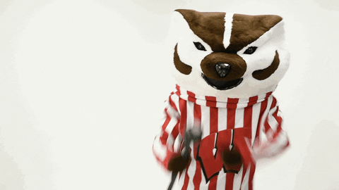 Wisconsin Bucky GIF by uwmadison - Find & Share on GIPHY