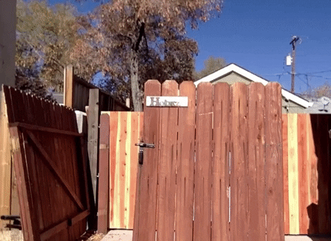 Resistance Resist GIF by Center for Story-based Strategy - Find & Share ...