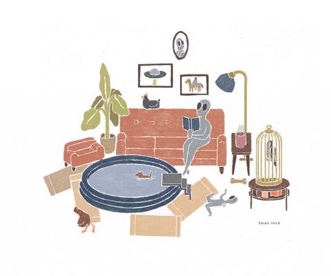 Living Room GIFs - Find & Share on GIPHY