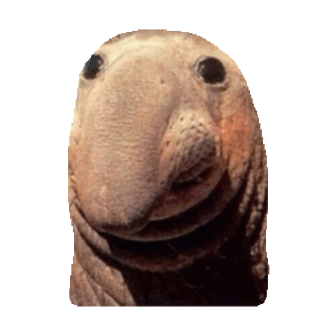 Aaaaa GIF by imoji for iOS & Android | GIPHY