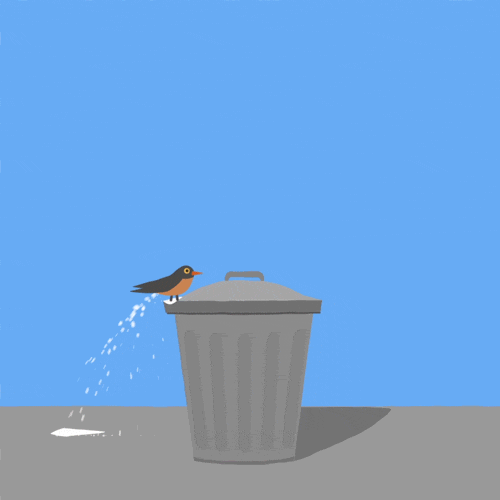 Bird Shit GIF by leeamerica - Find & Share on GIPHY