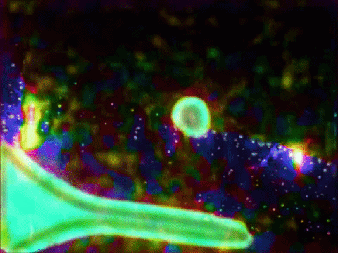 Hands Up Sky GIF by MFD - Find & Share on GIPHY