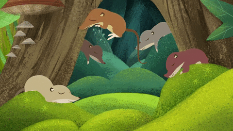 Pygmy Shrew Bounce GIF by Puffin Rock - Find & Share on GIPHY