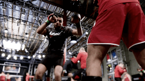 The Ultimate Fighter Episode 3 GIF - Find & Share on GIPHY