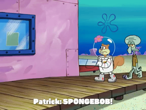 Season 5 GIF by SpongeBob SquarePants - Find & Share on GIPHY