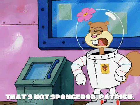 Season 5 GIF by SpongeBob SquarePants - Find & Share on GIPHY