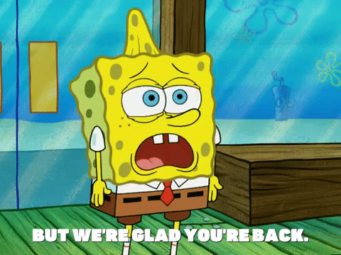 Season 5 GIF by SpongeBob SquarePants - Find & Share on GIPHY