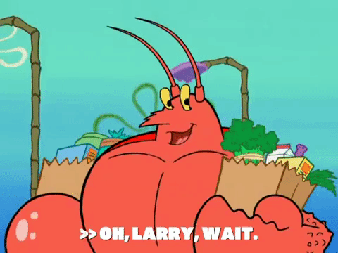 Season 6 Pet Or Pets GIF by SpongeBob SquarePants - Find & Share on GIPHY