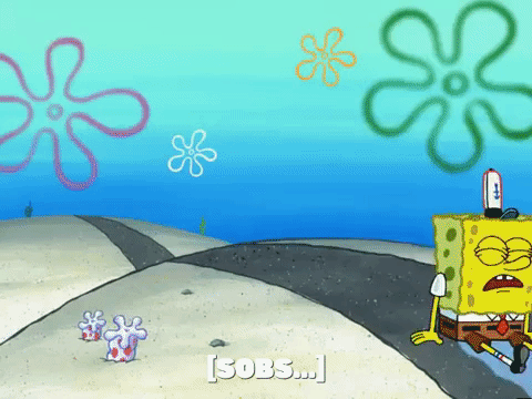 Season 5 GIF by SpongeBob SquarePants - Find & Share on GIPHY