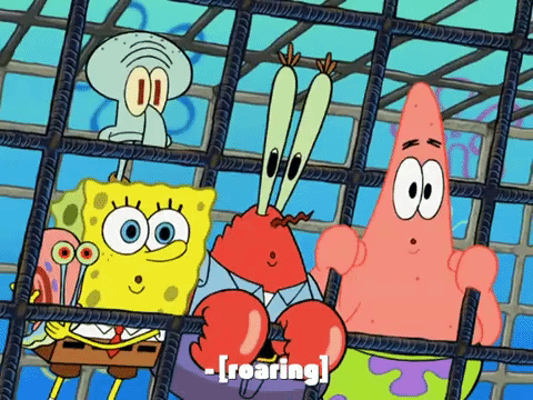 Season 8 Frozen Face-Off GIF by SpongeBob SquarePants - Find & Share on ...