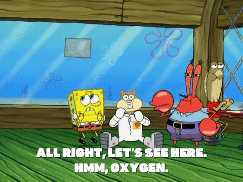 Season 8 Bubble Troubles GIF by SpongeBob SquarePants - Find & Share on ...