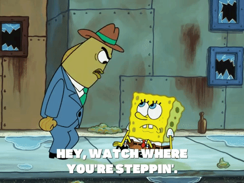 Season 5 GIF by SpongeBob SquarePants - Find & Share on GIPHY