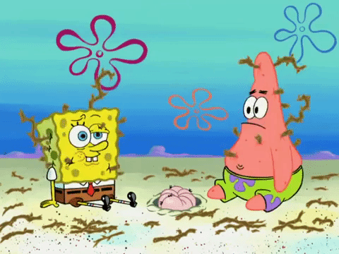 Season 6 Pet Or Pets GIF by SpongeBob SquarePants - Find & Share on GIPHY