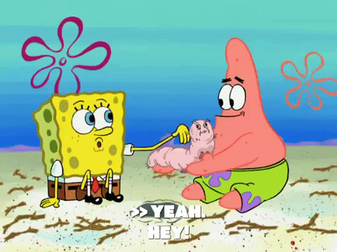 Season 6 Pet Or Pets GIF by SpongeBob SquarePants - Find & Share on GIPHY