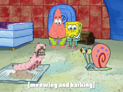 Season 6 Pet Or Pets GIF by SpongeBob SquarePants - Find & Share on GIPHY