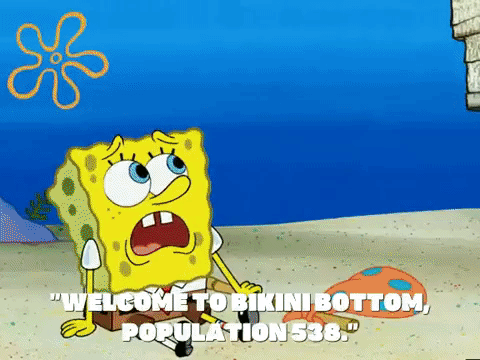 Season 5 GIF by SpongeBob SquarePants - Find & Share on GIPHY