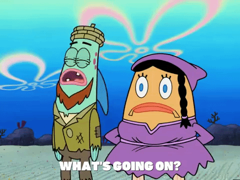 Season 5 GIF by SpongeBob SquarePants - Find & Share on GIPHY