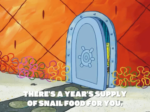 Season 5 GIF by SpongeBob SquarePants - Find & Share on GIPHY