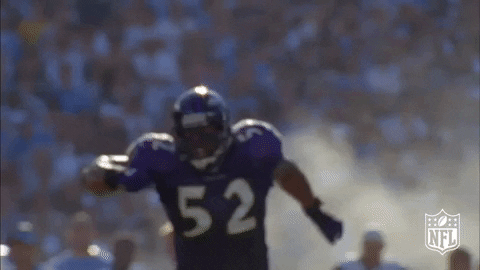 Baltimore Ravens Football GIF by NFL - Find & Share on GIPHY