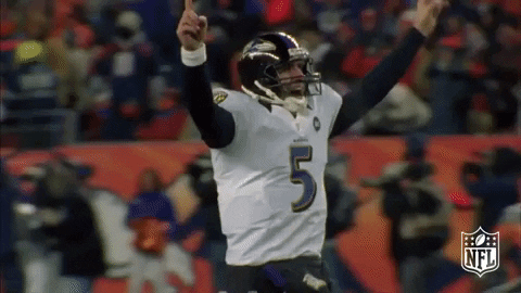 Baltimore Ravens Football GIF by NFL - Find & Share on GIPHY