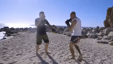 Sparring Ufc 206 GIF - Find & Share on GIPHY