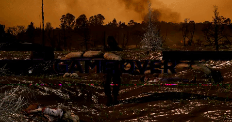 Autumn Assessment 2017