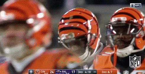 Cincinnati Bengals Football GIF by NFL - Find & Share on GIPHY