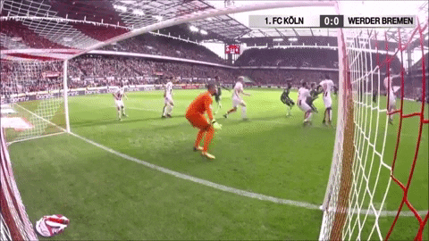 Bundesliga Defense GIF by 1. FC Köln - Find & Share on GIPHY