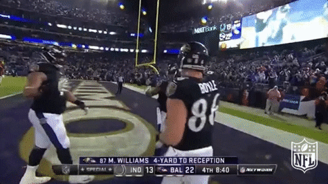 Baltimore Ravens Football GIF by NFL - Find & Share on GIPHY
