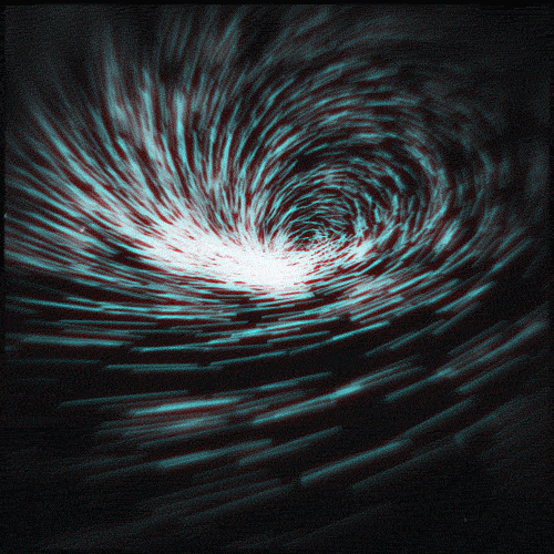 Spin Storm GIF by Erica Anderson - Find & Share on GIPHY