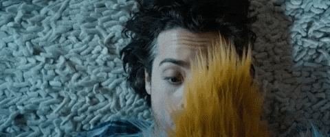 Fight Puppet GIF by The Orchard Films - Find & Share on GIPHY