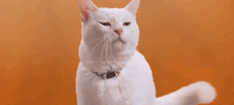 Save Them All Best Friends GIF by Best Friends Animal Society - Find ...