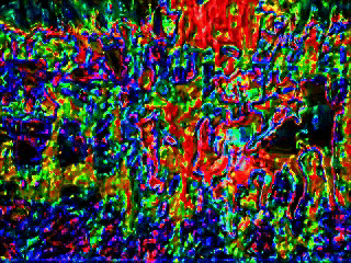 Art Colors GIF by MFD - Find & Share on GIPHY