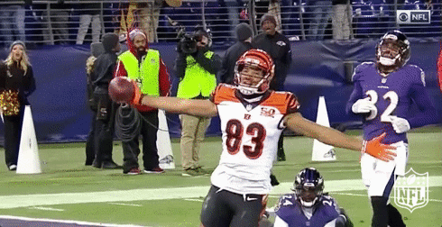 Cincinnati Bengals Football GIF by NFL - Find & Share on GIPHY