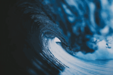Waves Surf GIF by Evan Hilton - Find & Share on GIPHY