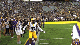 Louisiana State University Dancing GIF by LSU Tigers - Find & Share on ...
