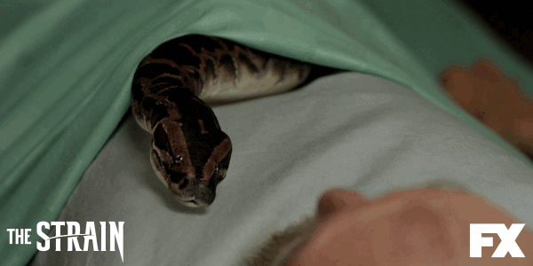 The Strain Find And Share On Giphy
