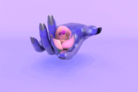 - Find & Share on GIPHY