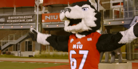 Northern Illinois University GIF - Find & Share on GIPHY