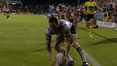 Celebrate Michael Gordon GIF by Sydney Roosters Football Club - Find ...