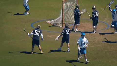 Celebration Goal GIF - Find & Share on GIPHY