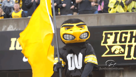 Hawks GIF by University of Iowa Hawkeyes Athletics - Find & Share on GIPHY