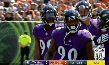 Baltimore Ravens Football GIF by NFL - Find & Share on GIPHY