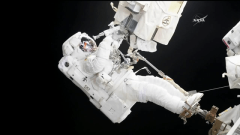 GIF by NASA - Find & Share on GIPHY