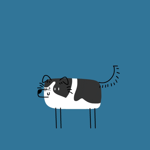 Excited Dog GIF by CsaK - Find & Share on GIPHY