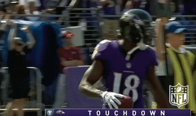 Baltimore Ravens Football GIF by NFL - Find & Share on GIPHY