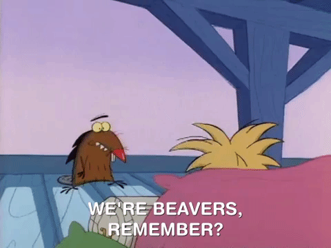 Nicksplat Angry Beaver GIF - Find & Share on GIPHY