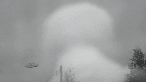 Dog Fix Me GIF by Beck - Find & Share on GIPHY